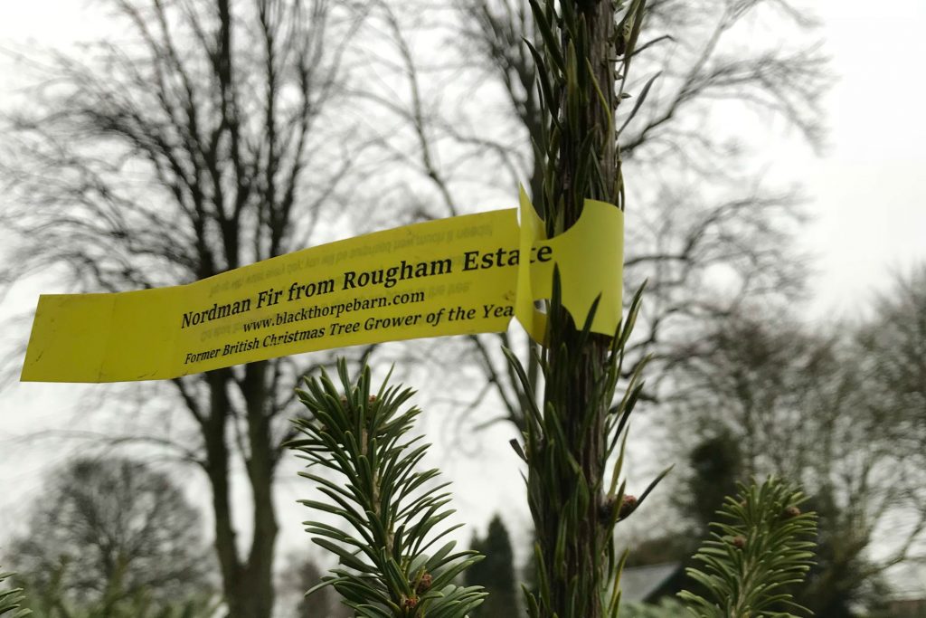 Loop Lock Labels - Expert Labels